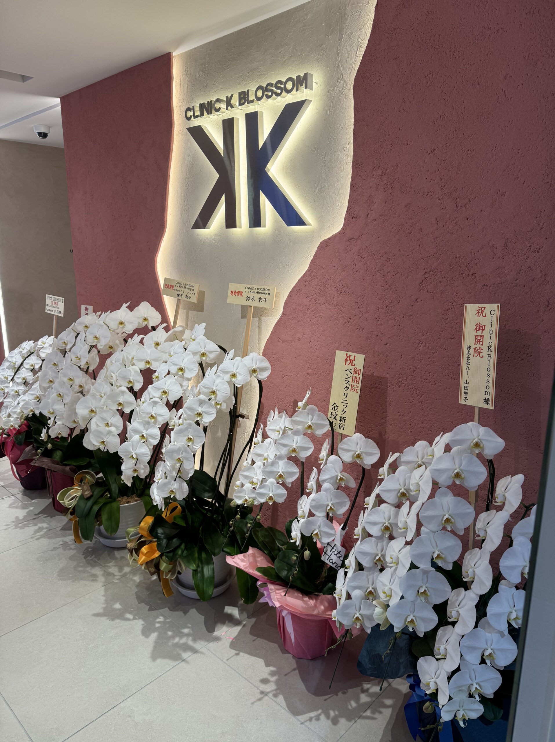 Clinic K Blossom OPEN Column | 銀座1丁目の美容アンチエイジングクリニック Clinic K